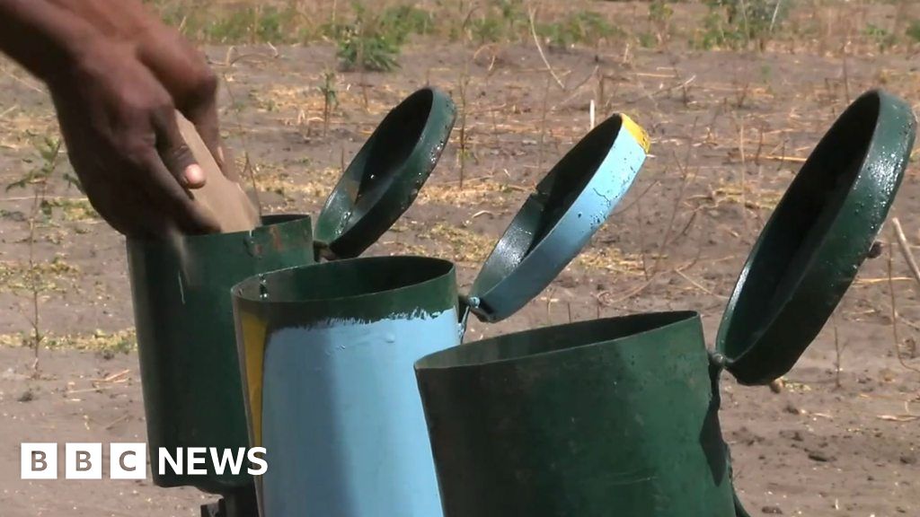 The seed planter helping sesame farmers in Tanzania - BBC News