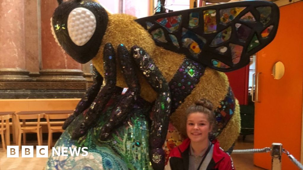 Manchester Arena survivor in bee memorial appeal for victim - BBC News