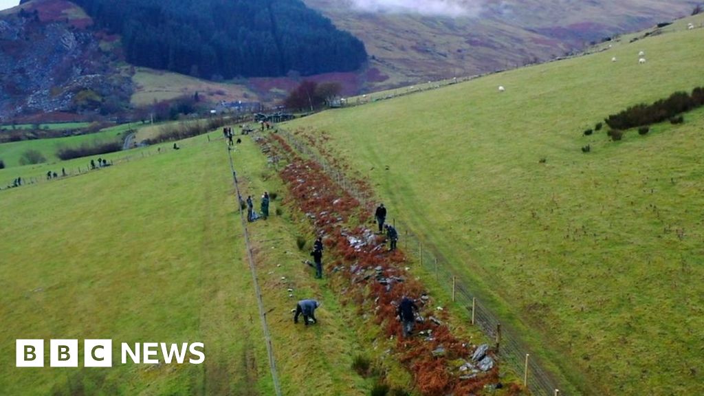 Snowdonia: Yr Eryri superhighway to protect wildlife