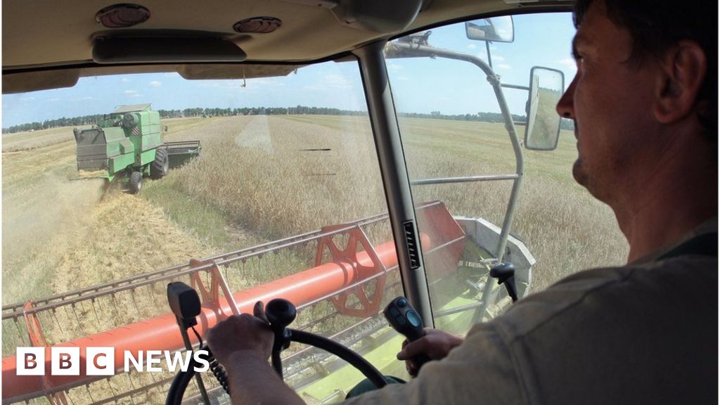 US farming company Cargill helps boost Ukraine exports - BBC News
