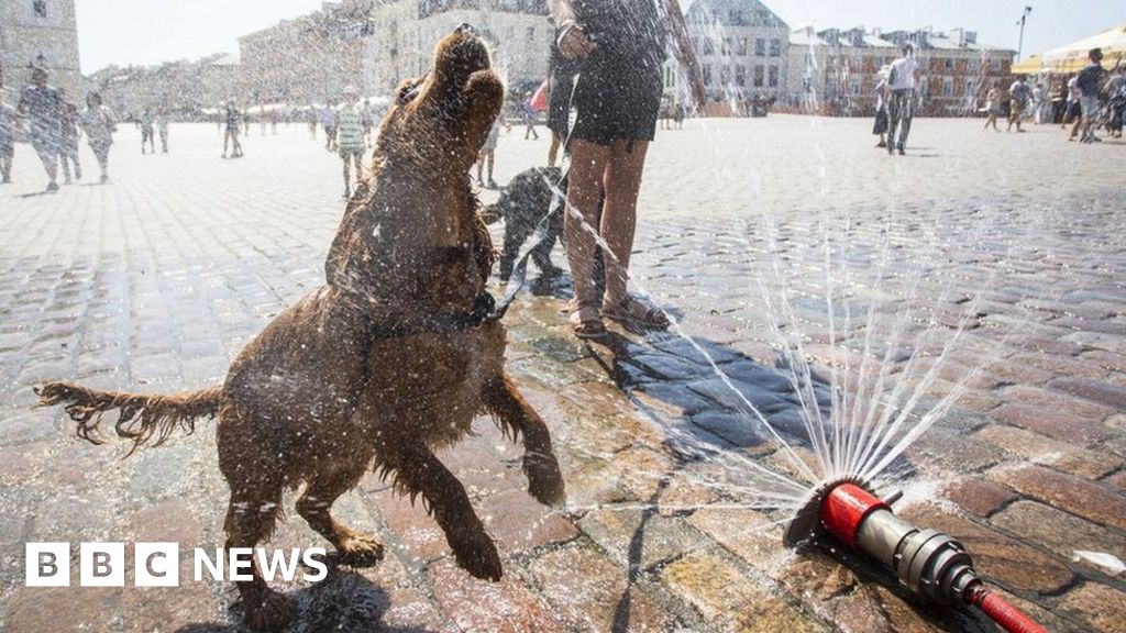 Europe heatwave: All-time temperature could be broken - BBC News