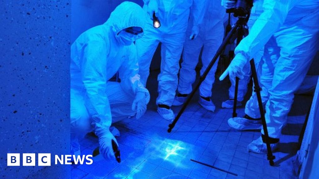 Forensic test pins down 'time of death' - BBC News