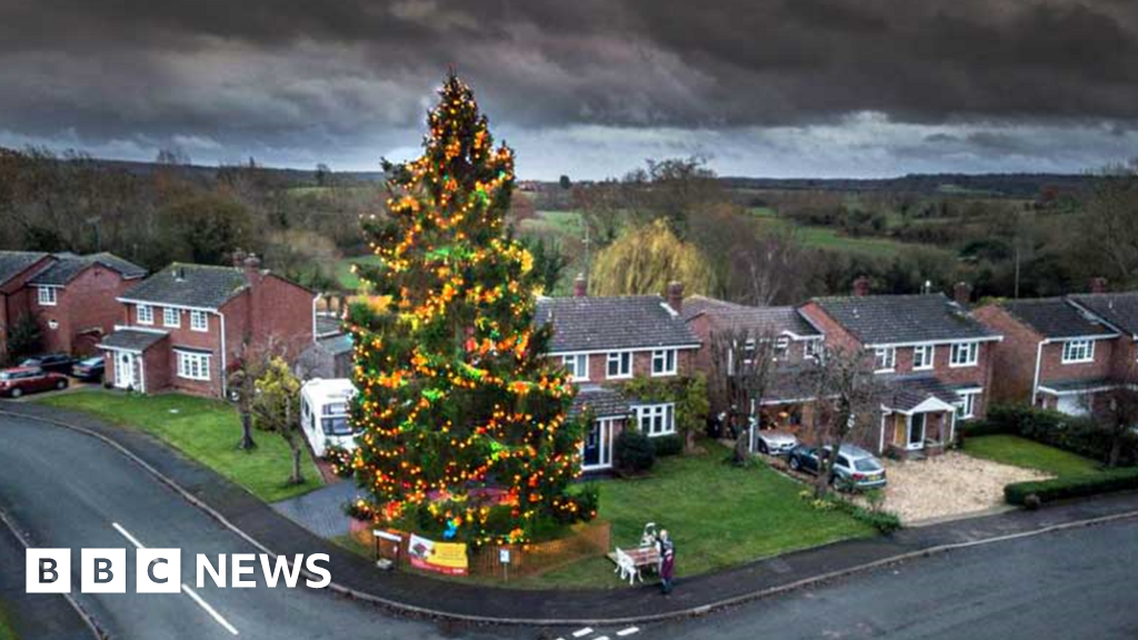No end in sight for huge Inkberrow Christmas tree tradition - BBC News