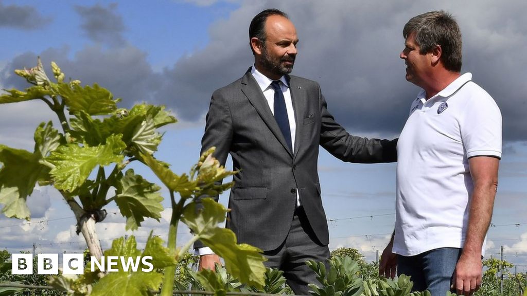 Monsanto 'compiled dossier' on political opponents