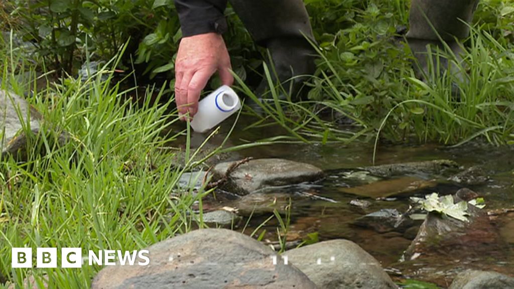 Berkshire: River Pang receives poor ecological status due to sewage ...
