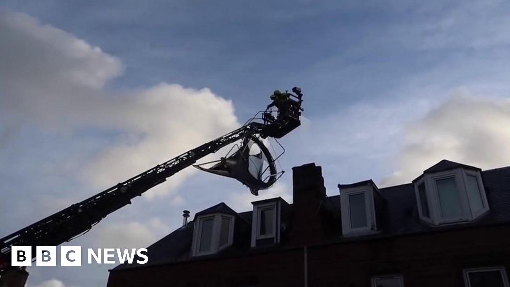 Firefighters rescue a trampoline from the roof of a house - BBC News