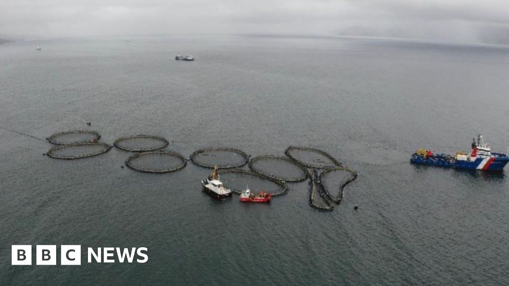 Storm Ellen: Argyll fish farm with 550,000 salmon breaks free - BBC News