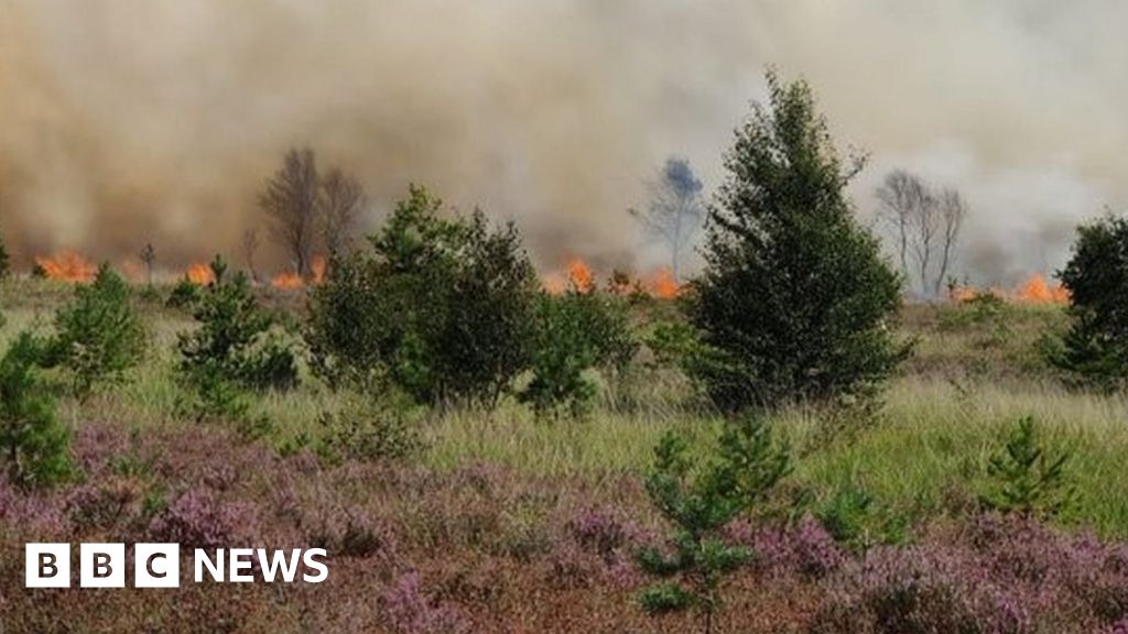 Chobham Common wildfire evacuation warning - BBC News