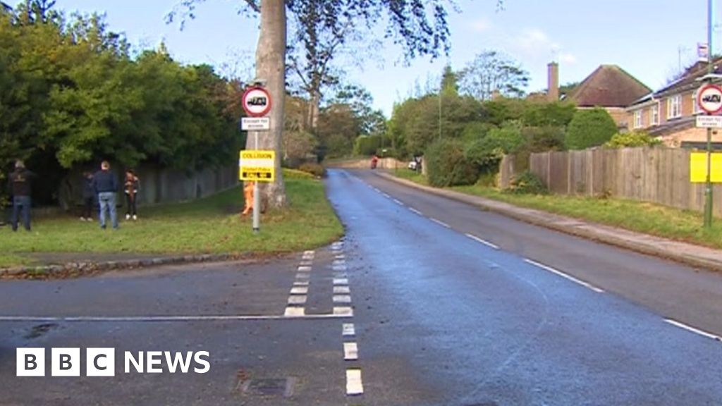 Hassocks: Driver dies after crashing into tree - BBC News