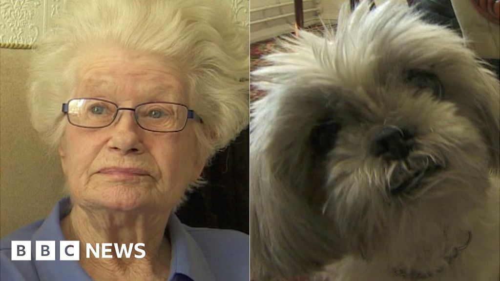 Carer gave woman, 82, dog's heart and kennel cough pills - BBC News