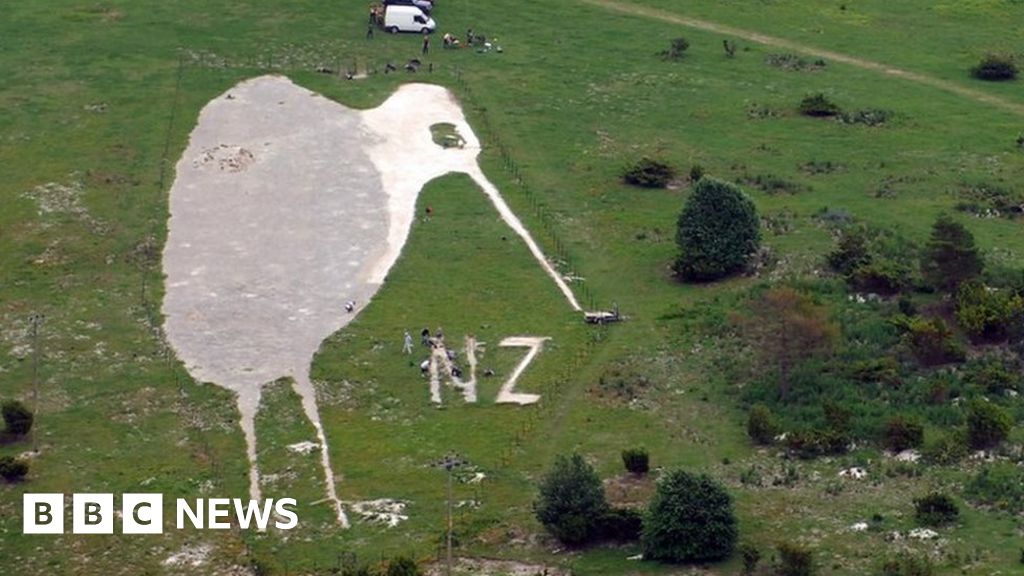 Giant Bulford Kiwi chalk carving given protected status