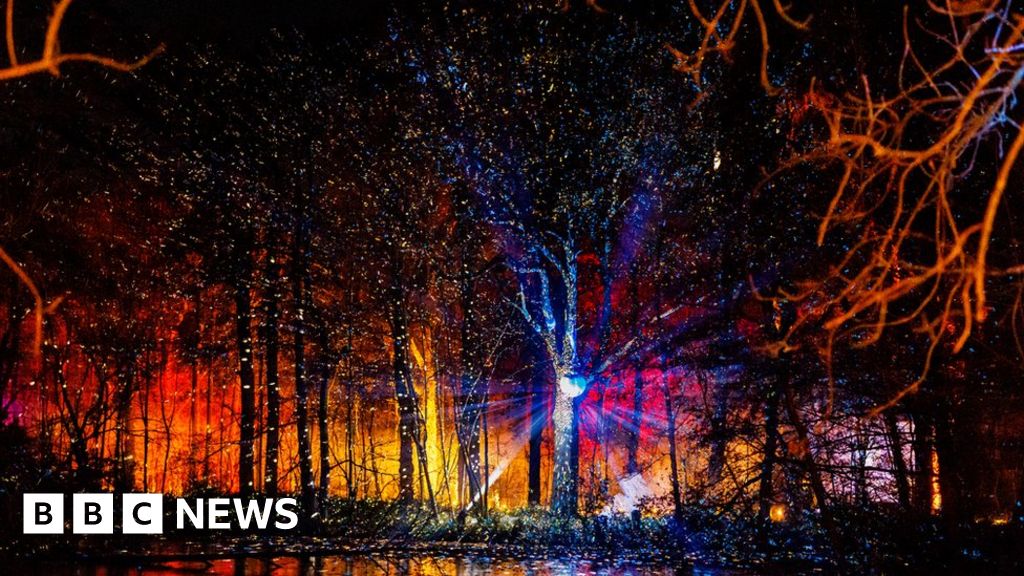 Luminate light show returns to Coombe Abbey Park - BBC News