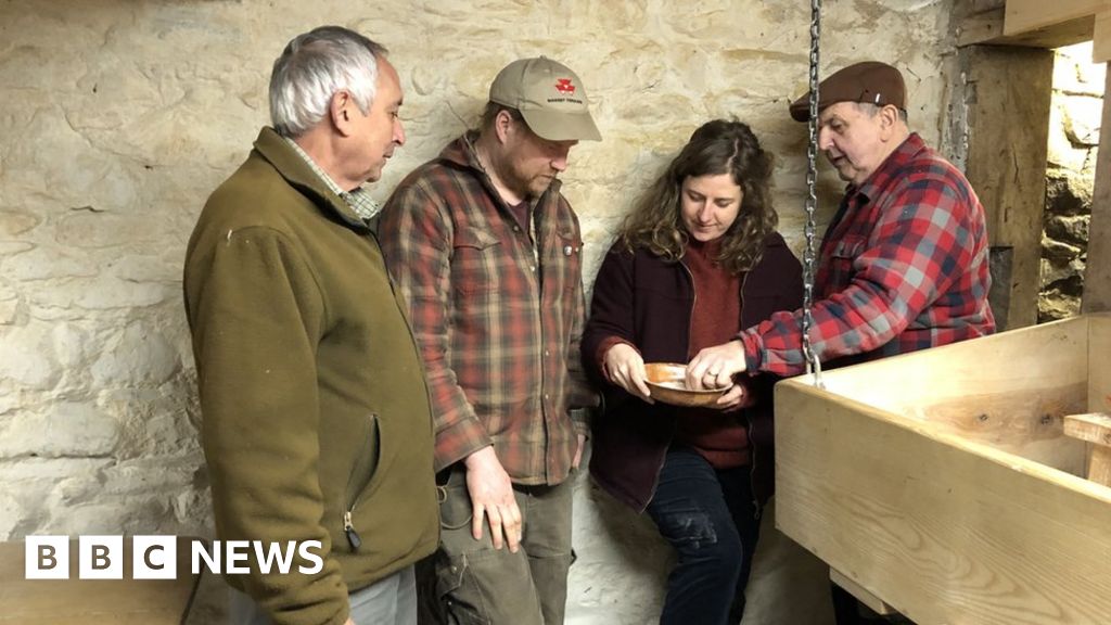 Oats: Help sought to revive small-scale production