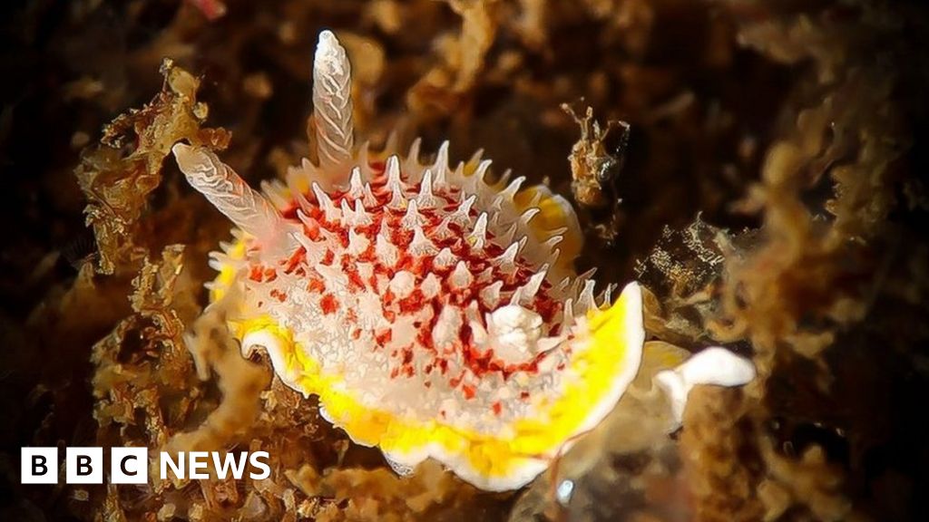 Your pictures of Scotland: 19-26 August - BBC News