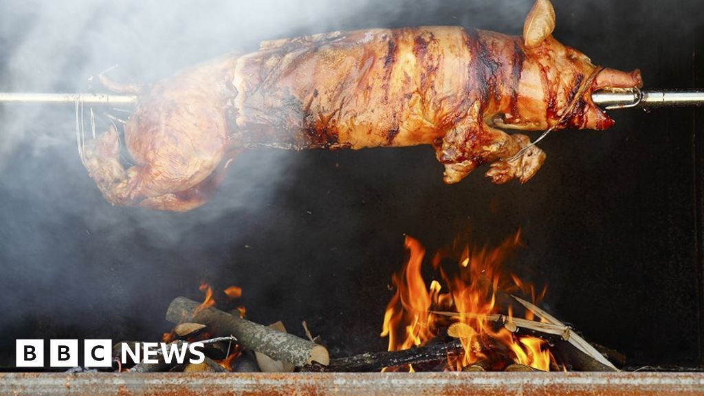 Burnley hog roast training centre plans approved - BBC News