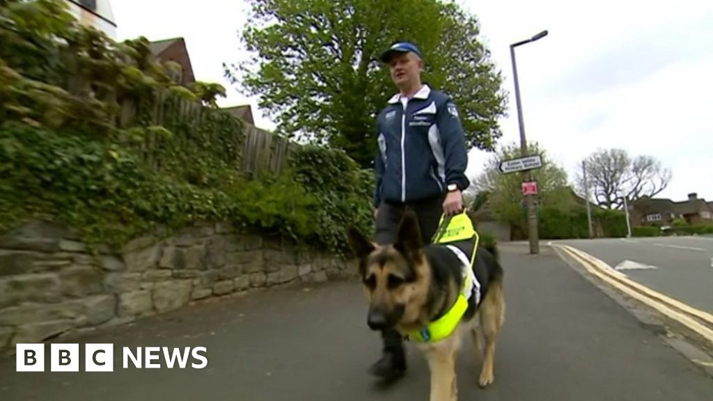 New guide dog for fundraising hero Dave Heeley - BBC News