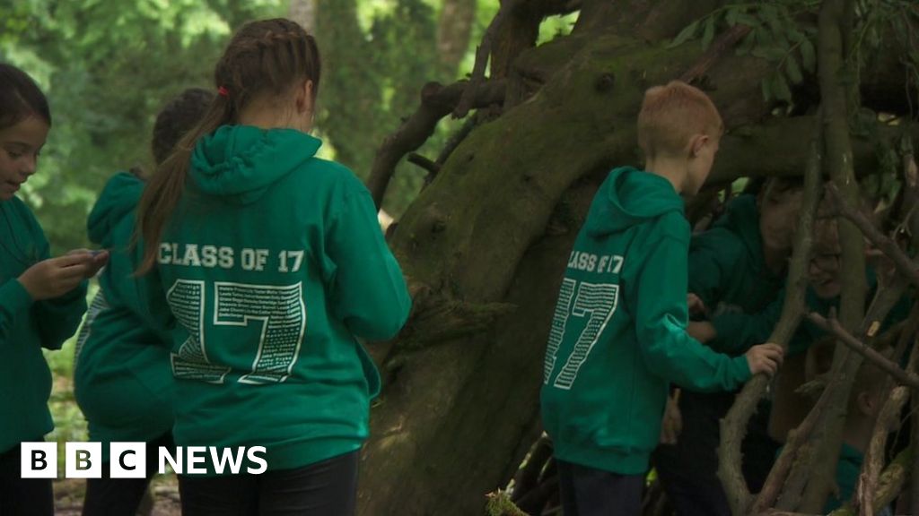 Residential school trips aid learning and relationships - BBC News
