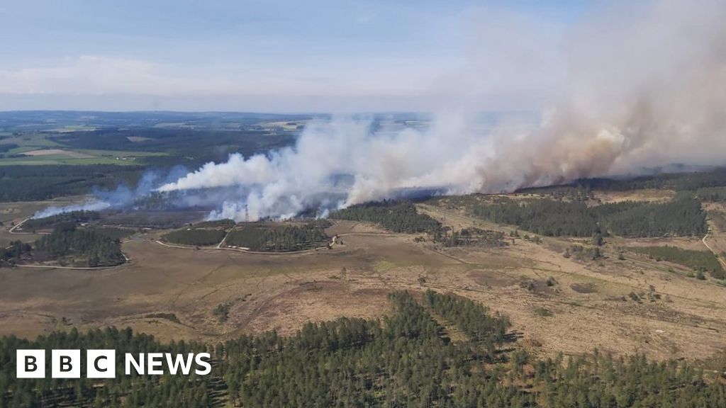Wareham Forest: Large fire breaks out at beauty spot - BBC News