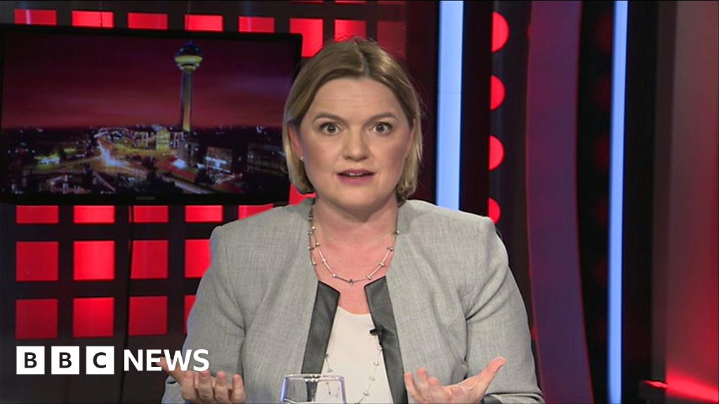 EU-Turkey row boosting far-right says Selin Sayek Boke - BBC News