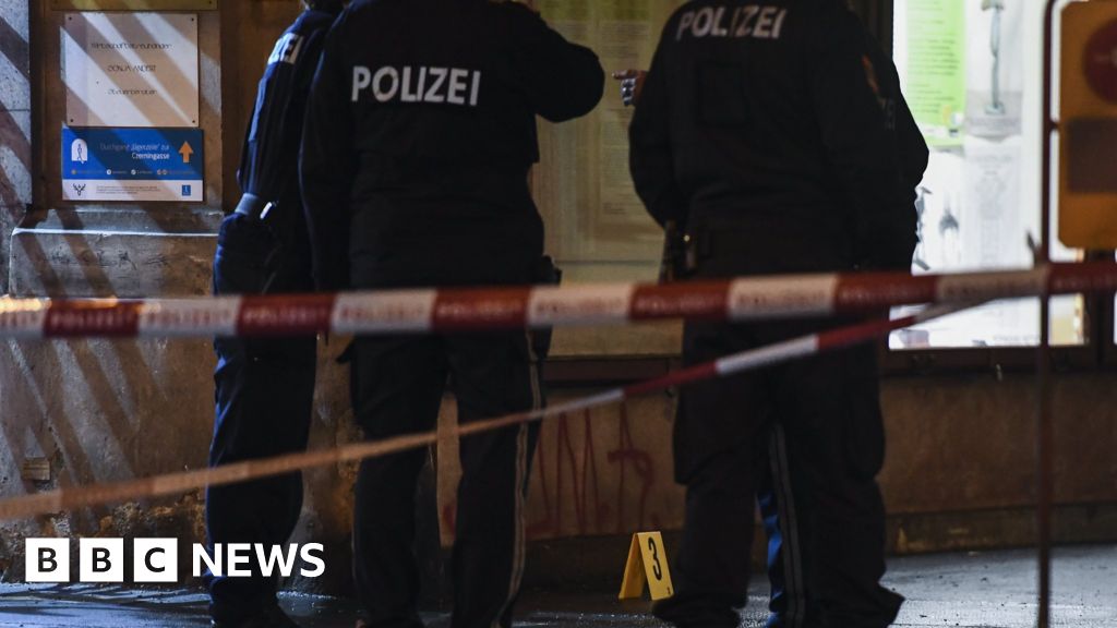 Austria attack: Afghan man admits Vienna stabbings