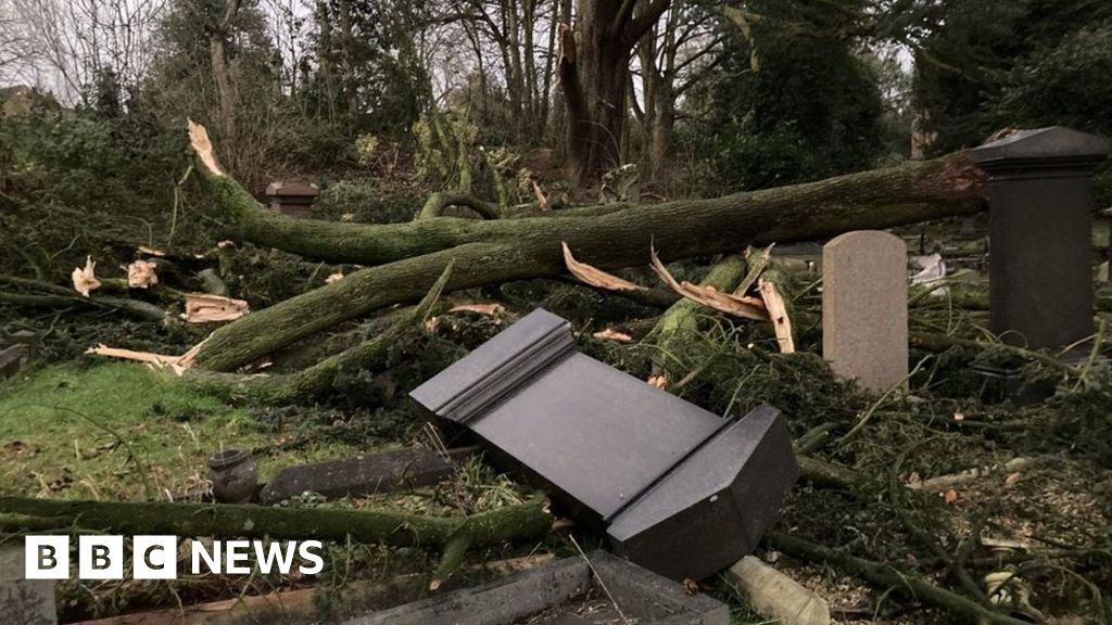 Gravestones shattered as Storm Pia fells huge tree - BBC News