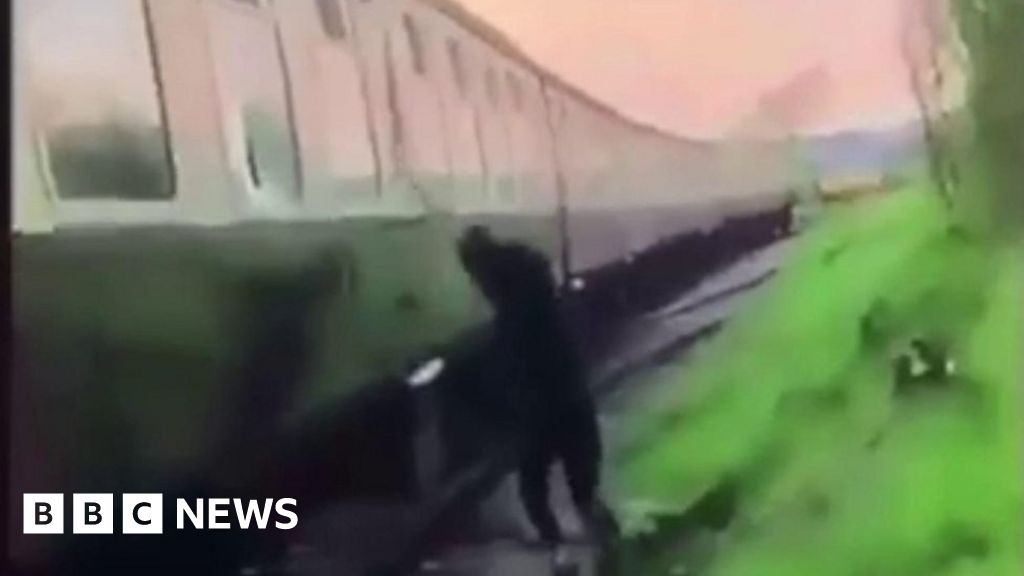 Snapchat footage shows train windows being smashed