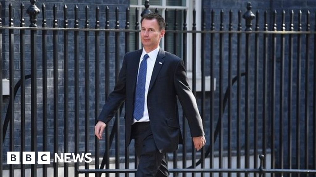 Brexit: Jeremy Hunt warns Boris Johnson over customs comments