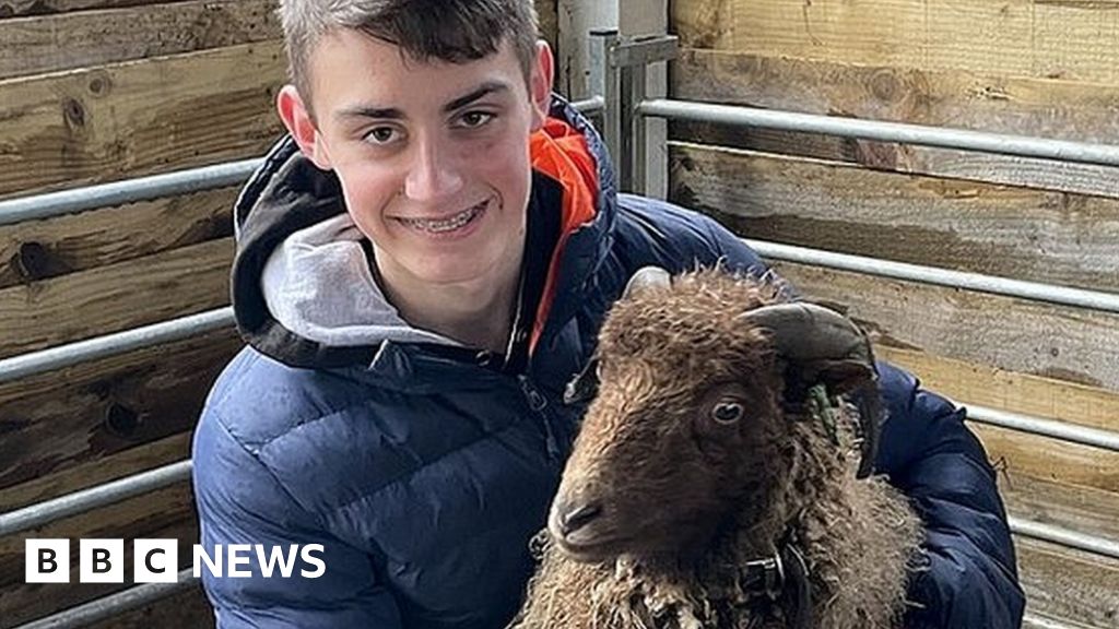 Calne school uses animal therapy to help autistic children - BBC News