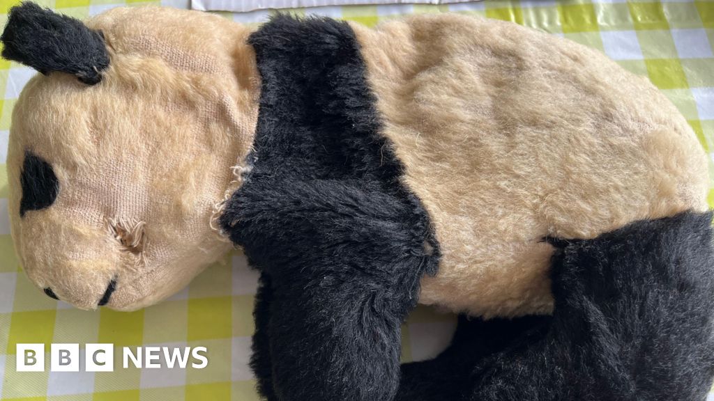 Sark toy panda stabbed during German occupation to go on display