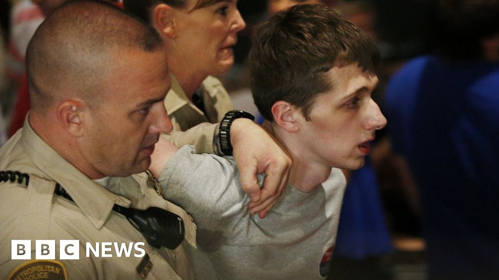 Mother of Trump suspect Michael Sandford to crowdfund case - BBC News