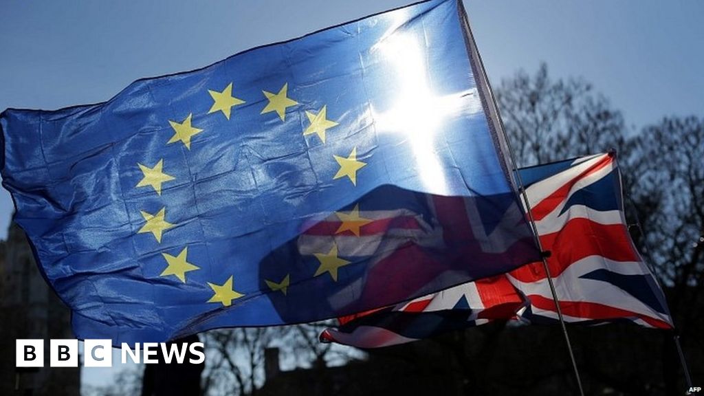 Brexit: Theresa May eyes 'special partnership' with EU - BBC News