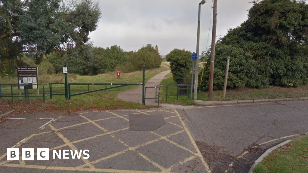 Two men charged over Hilly Fields nature spot assault - BBC News