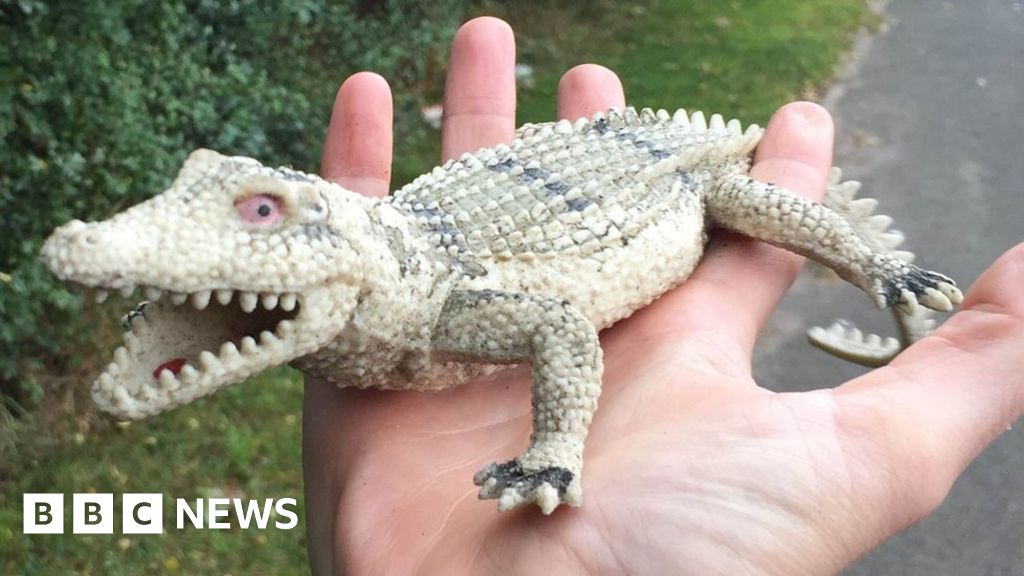 RSPCA called to toy crocodile rescue in Winsford - BBC News