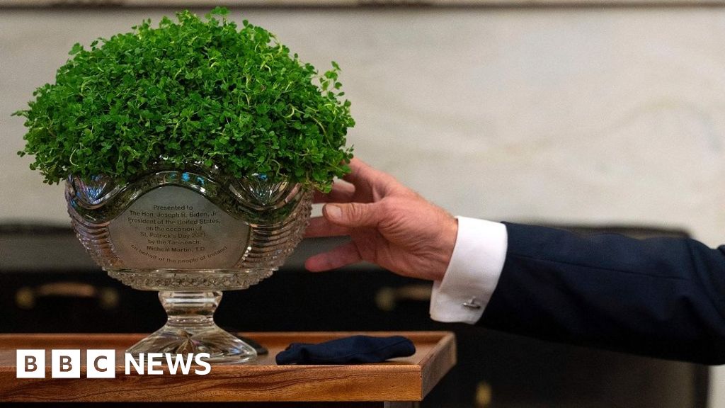 St Patrick's Day: Why is the US president given a bowl of shamrock ...