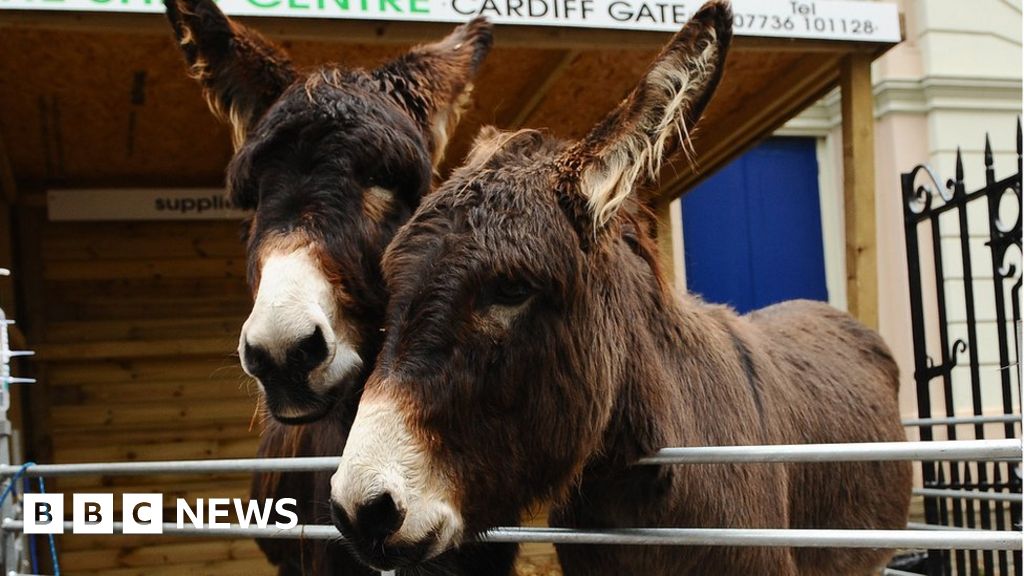 Church criticised for using donkeys in Cardiff nativity - BBC News