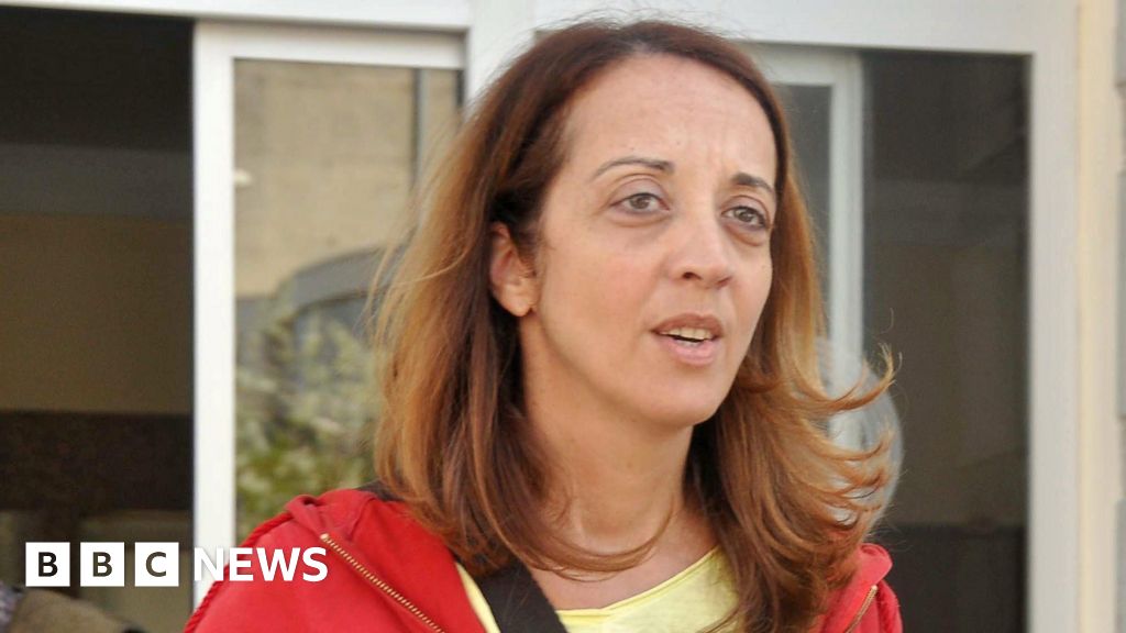 Dutch journalist detained in Turkey for Erdogan tweet - BBC News
