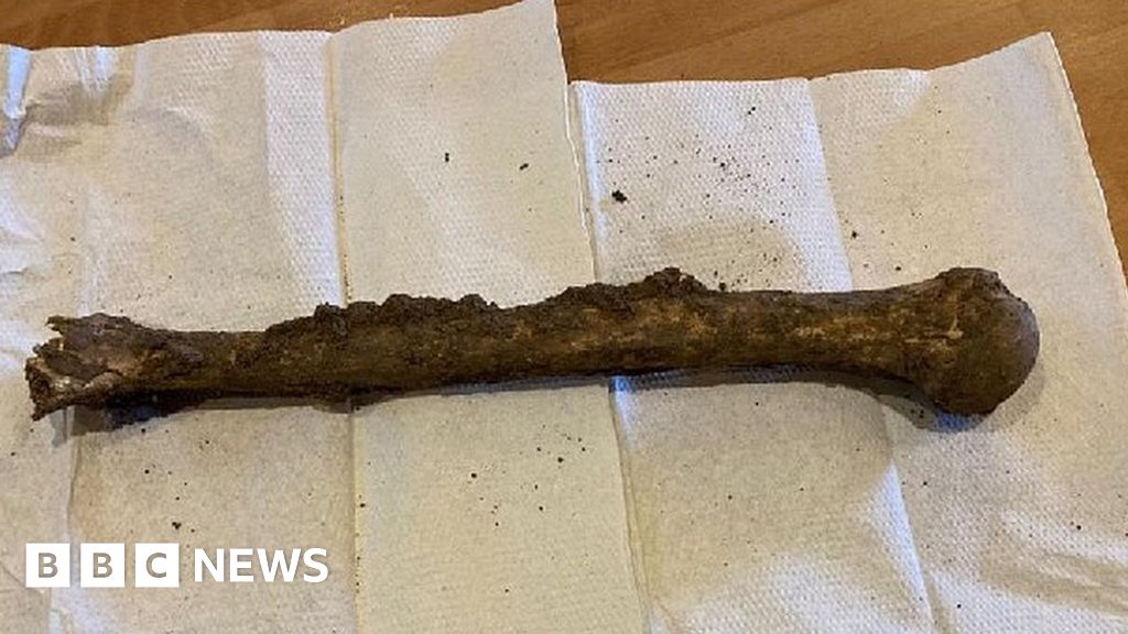 Storm Arwen: Human remains found after gales uproot tree