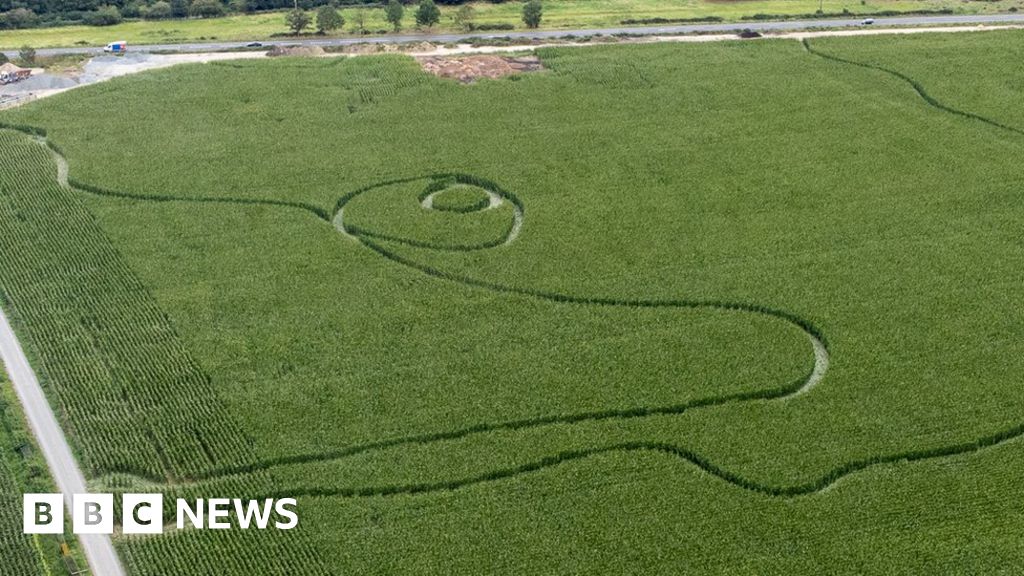 Earsham: Police actions before fatal crash to be probed