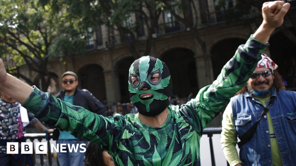 Mexican marijuana activists on a high after Supreme Court ruling - BBC News