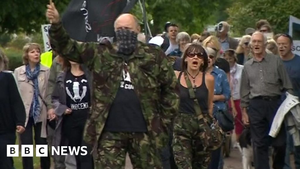 Hundreds attend Taunton anti-badger cull protest march - BBC News