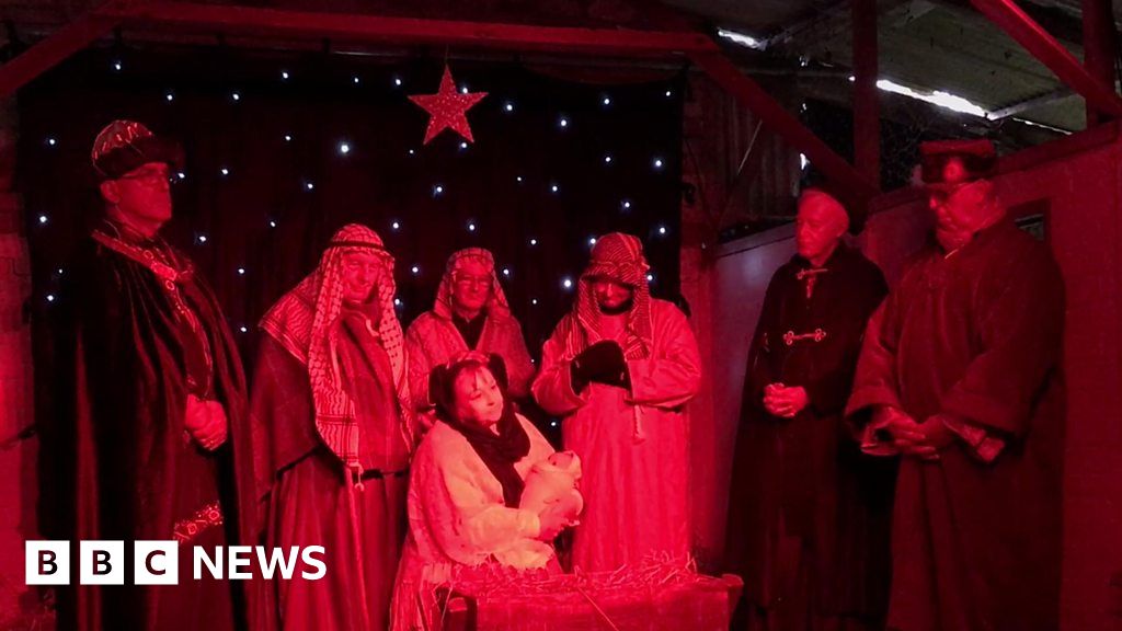 Children learn about nativity in a back garden pigsty - BBC News