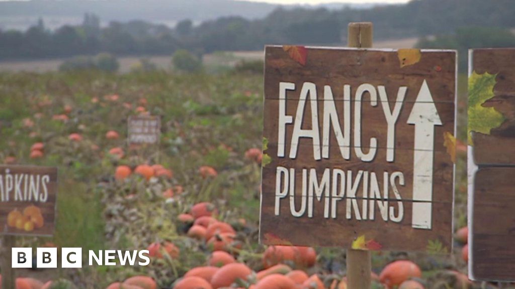 Thousands of pumpkins on show at festival