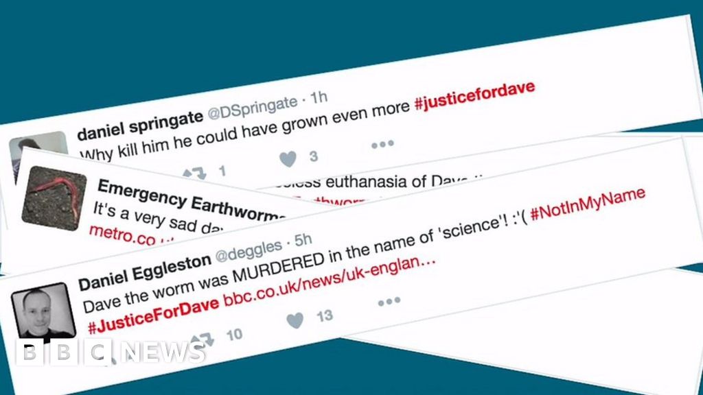 Dave the worm's death causes social media outrage - BBC News