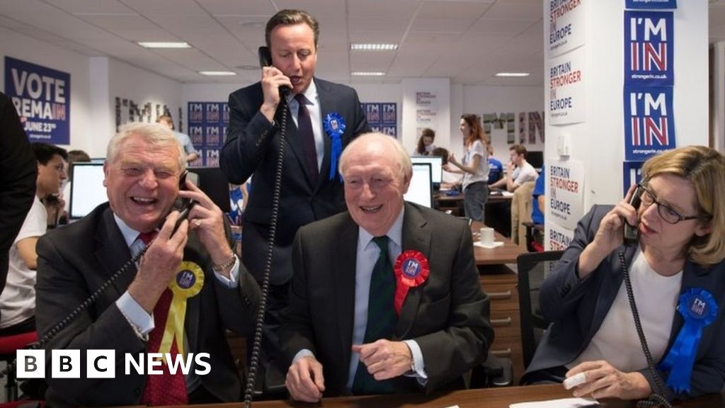 Cameron, Ashdown and Kinnock in phone campaign - BBC News