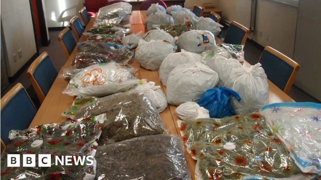 Police in Glasgow seize £300,000 of cannabis in raid