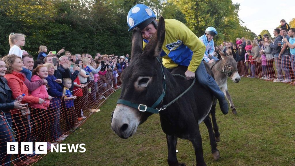 AP McCoy: Champion jockey takes part in donkey derby - BBC News