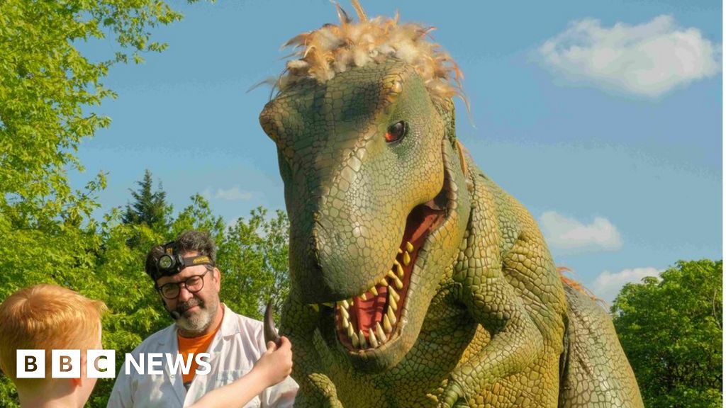 Maidstone Magical Beasts sculpture trail to be unveiled - BBC News