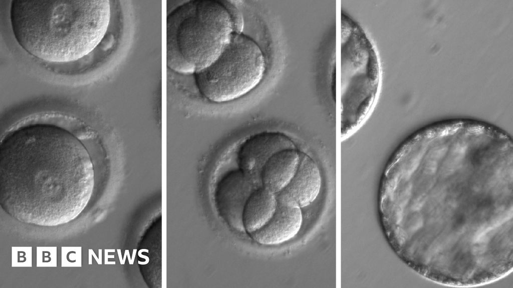 Human embryos edited to stop disease