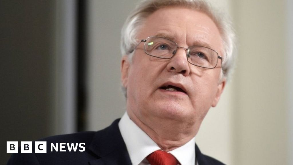 David Davis voices concern over EU border plan - BBC News