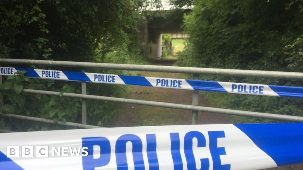 Electrocuted 11-year-old named as Harrison Ballantyne - BBC News